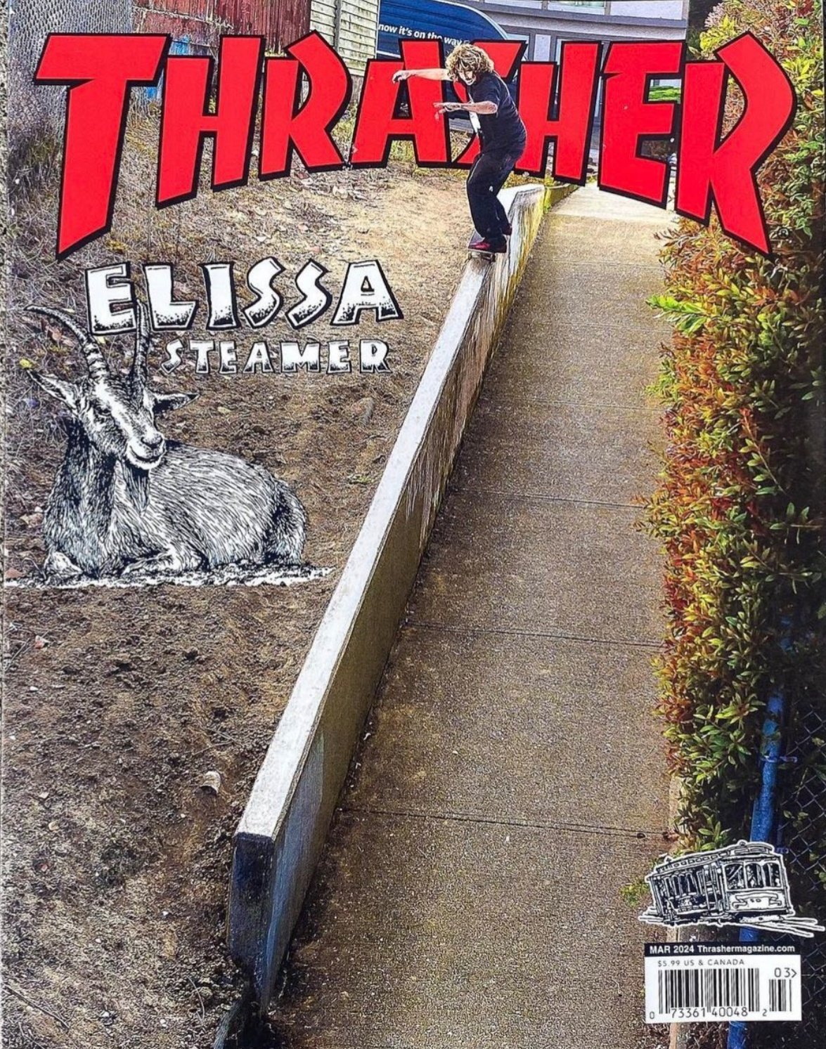 Elissa Steamer | SkateVideoSite